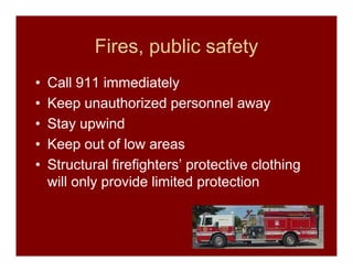 Fire+Safety+Gerencer.pdf