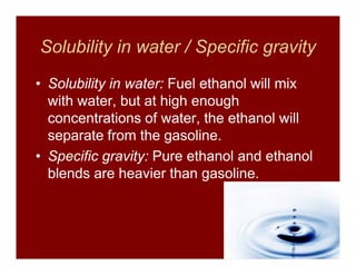 Fire+Safety+Gerencer.pdf