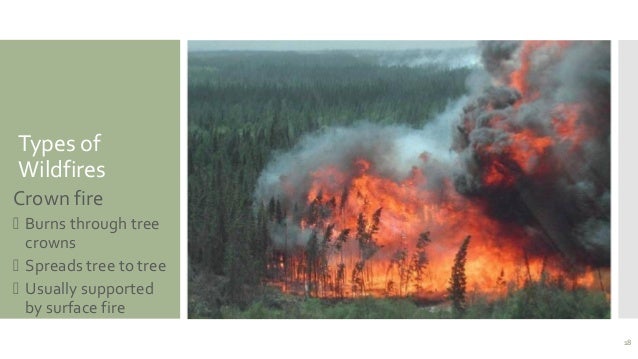 Fire smart managing wildfire risk 2014 04 11