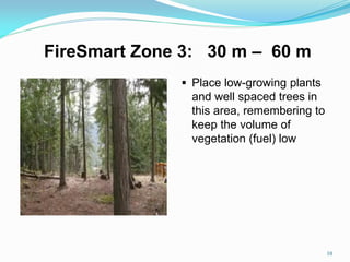 FireSmart Presentation | PDF