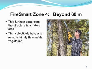 FireSmart Presentation | PDF