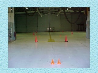 Fire Sprinkler Test | PPT