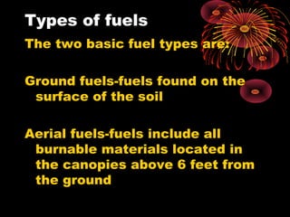 Fire & the forest | PPT