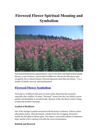 Fireweed Flower Spiritual Meaning and Symbolism.docx
