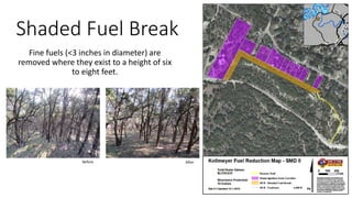 Austin Fire Department Wildfire Division | PPT