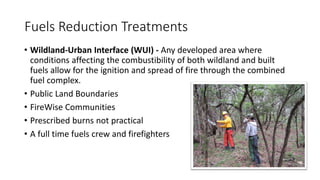 Austin Fire Department Wildfire Division | PPT