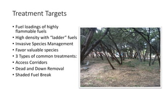 Austin Fire Department Wildfire Division | PPT