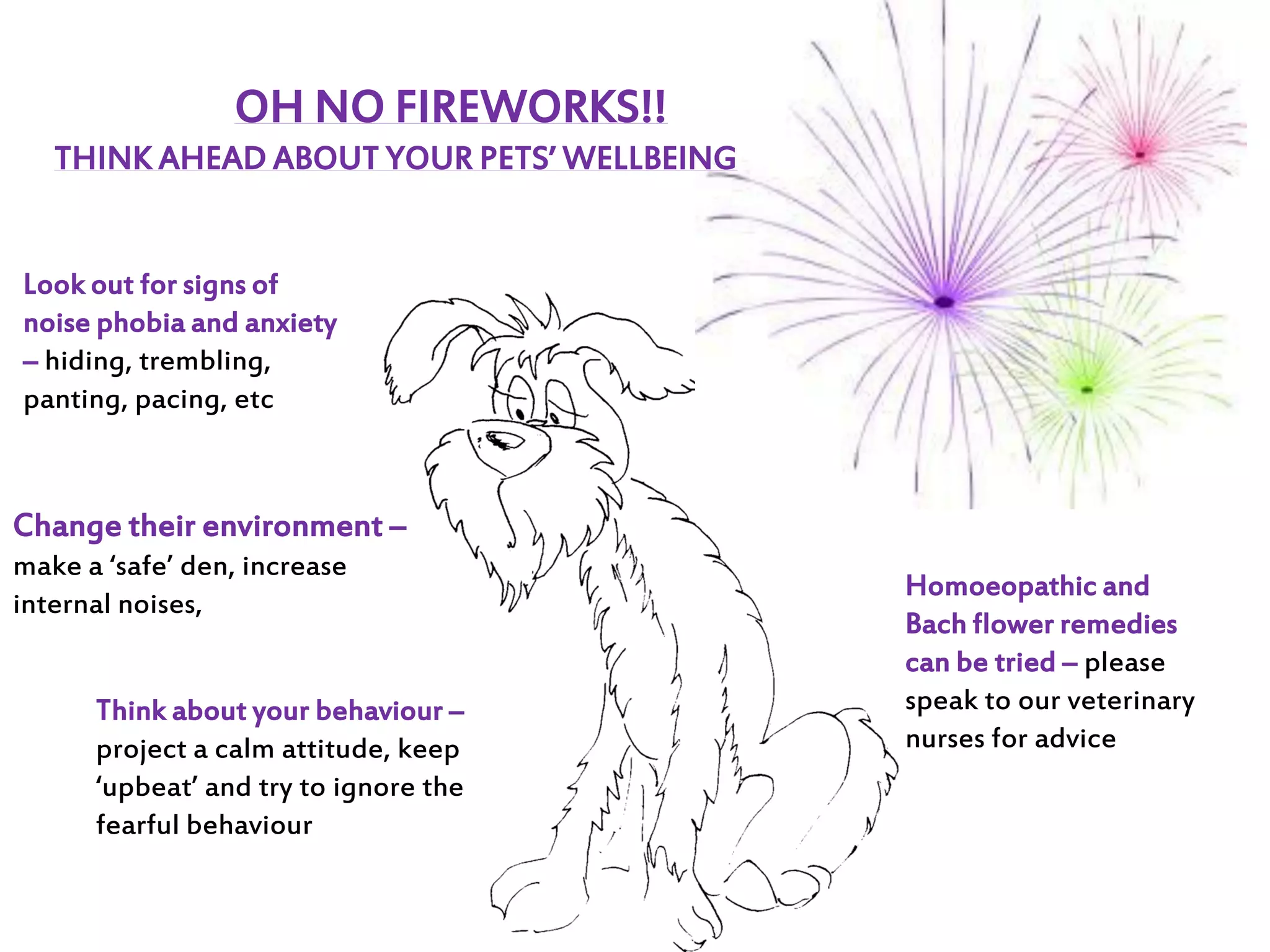 Fireworks dog slide 2 | PDF