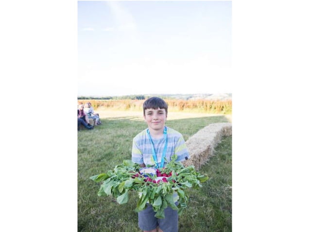 Fir farm 2019 photos | PPTX