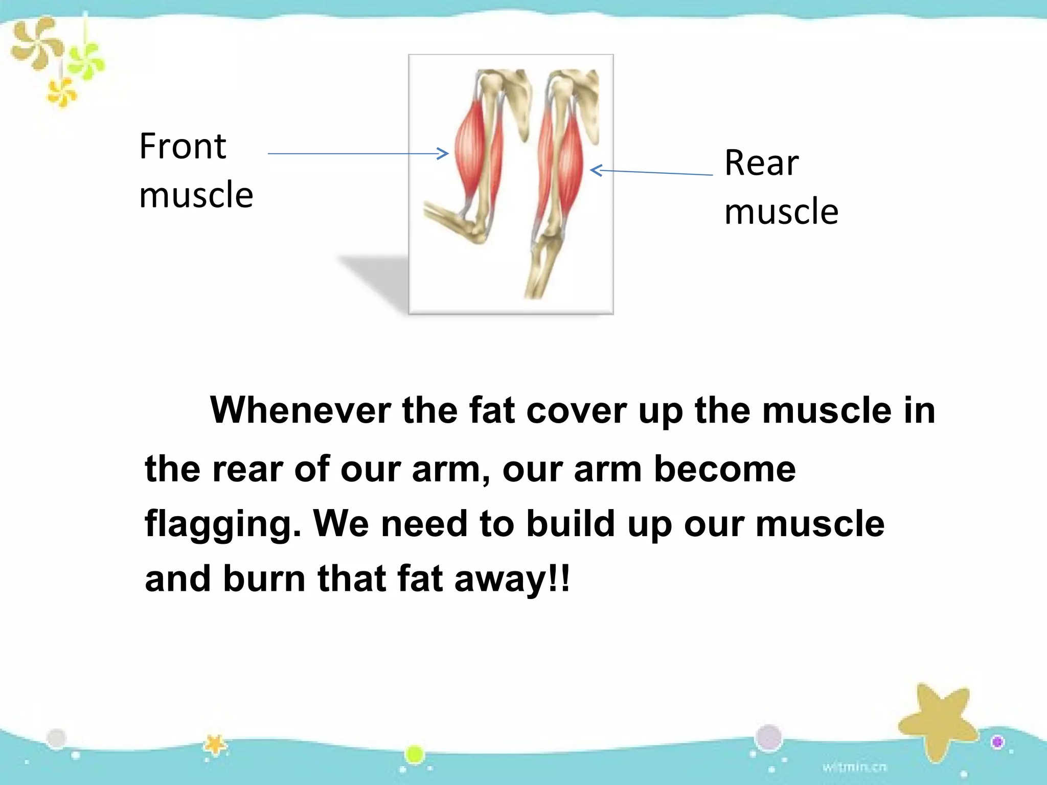Firm arms exercise | PPT