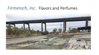 Firmenich: Restoration on a Highly Industrial Site | PPTX