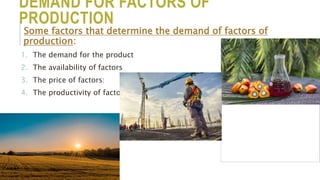 FIRMS AND PRODUCTION economics igcse.pptx