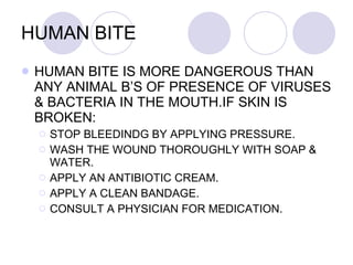 First Aid CPR SNAKE BITE | PPT