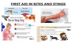 First-Aid-for-Teenagers.pptx