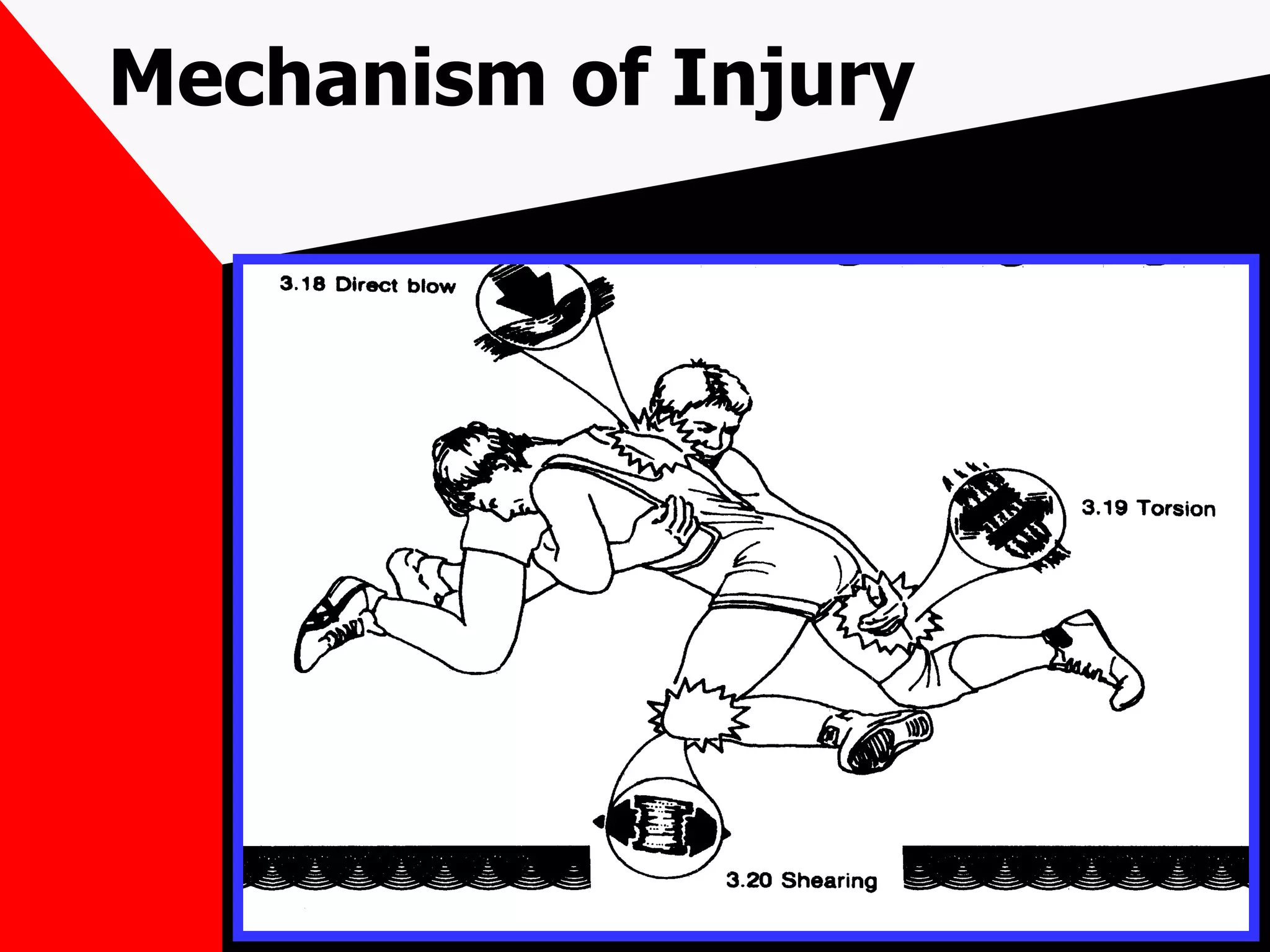 First Aid Fundamentals | PPT | First Aid | Injuries