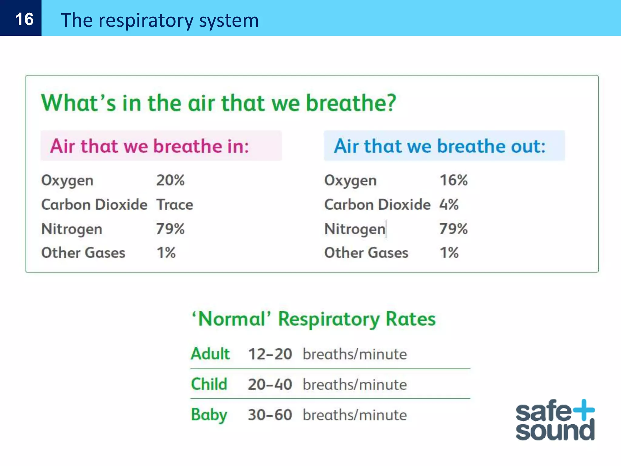 First-Aid-Made-Easy-Training-Presentation (1).pptx