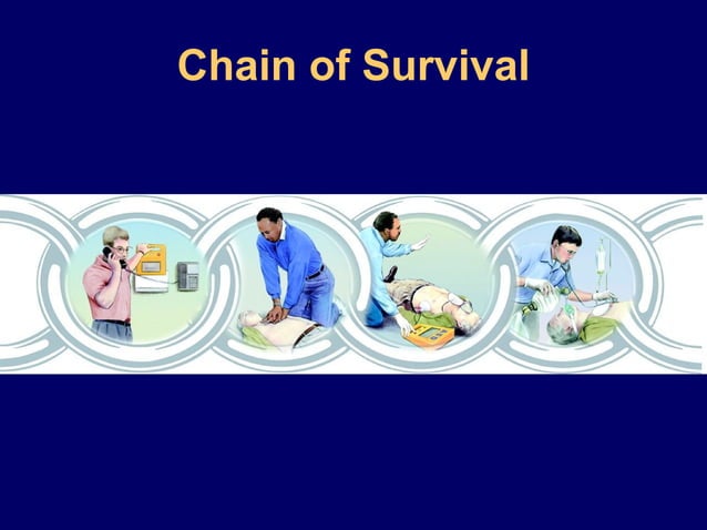 First Aid Principles And Practice | PPT | First Aid | Injuries