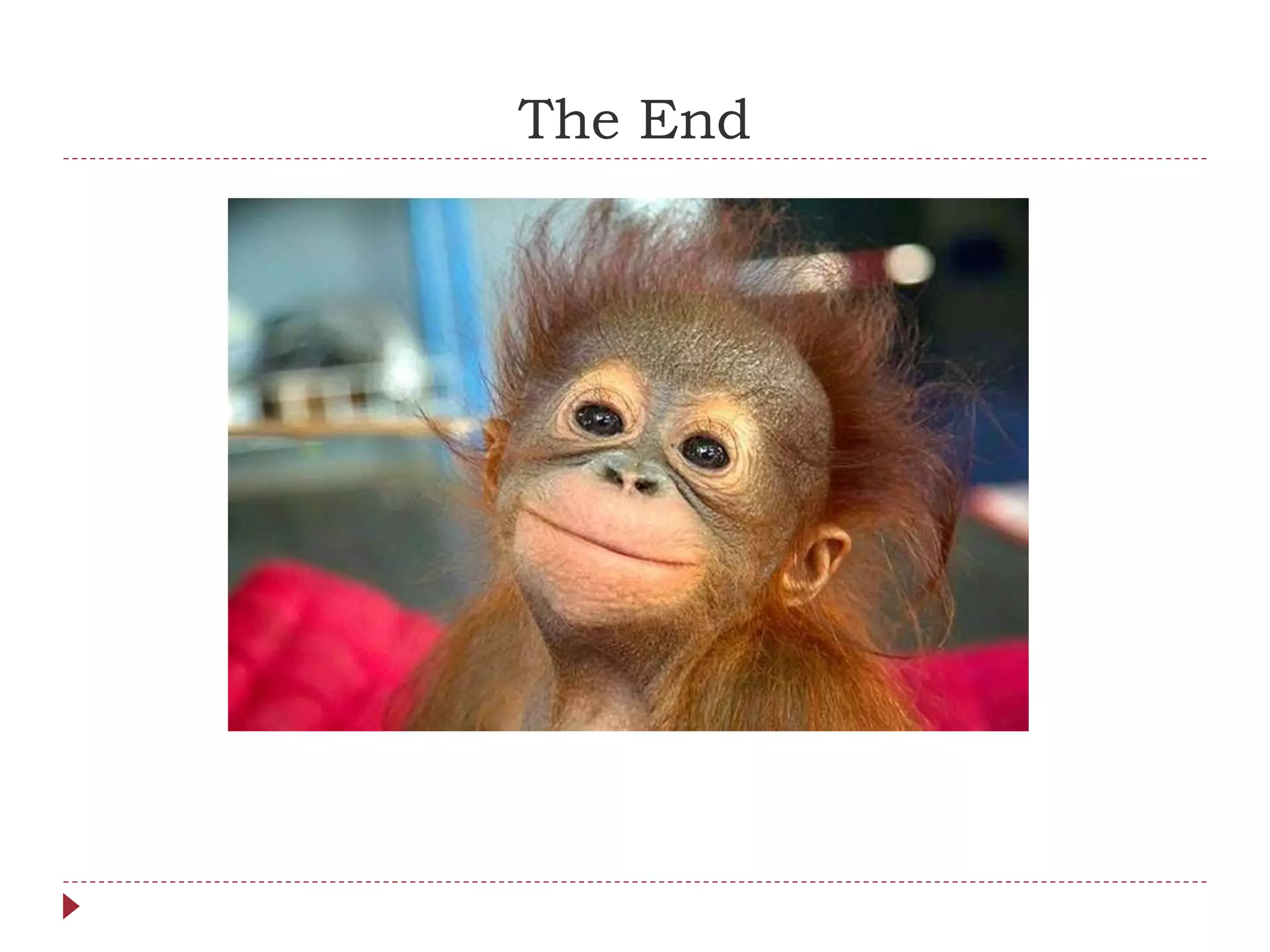 first-impressions-conversation-activities-promoting-classroom-dynamics ...