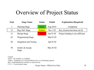 First Time IT Project Management Review | PPT