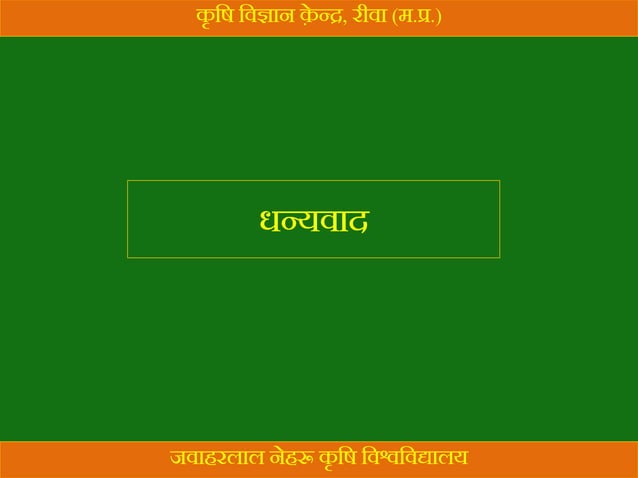 First 1000 days nutrition poshan maas training | PPT