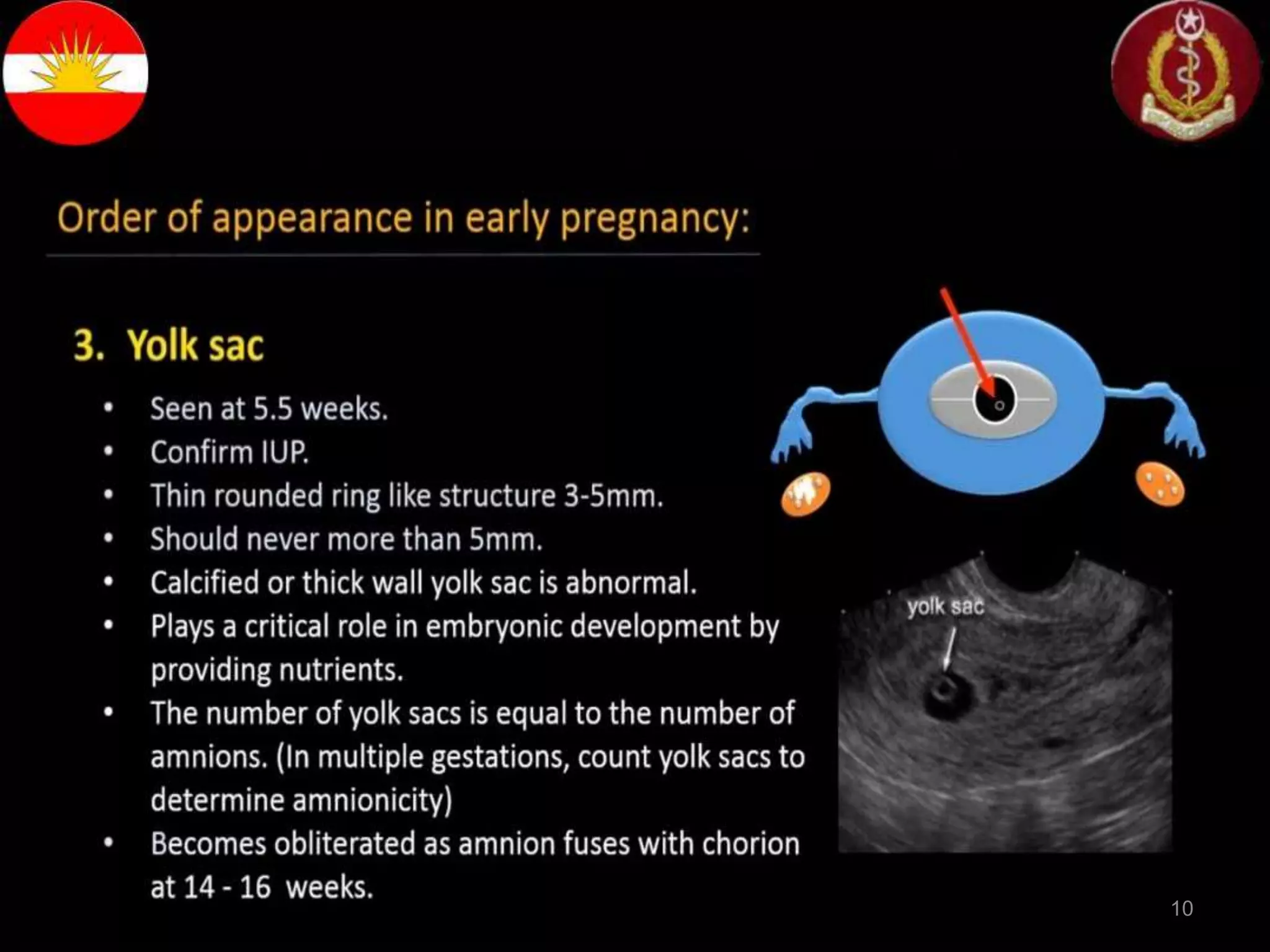 First trimester ultrasound.pptx