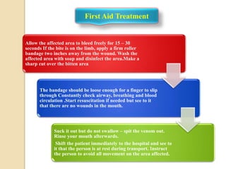 First aid | PPTX