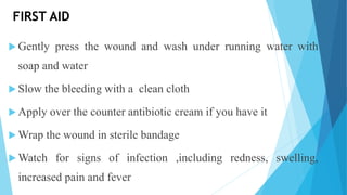 First aid | PPTX