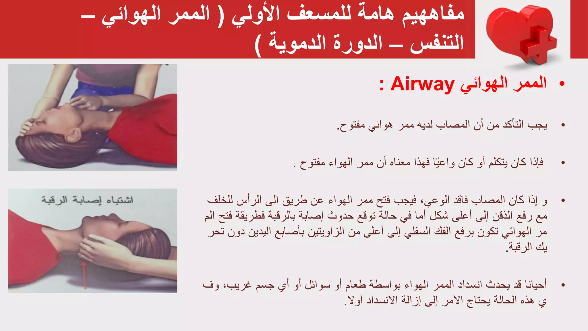 First Aid - Arabic | PDF