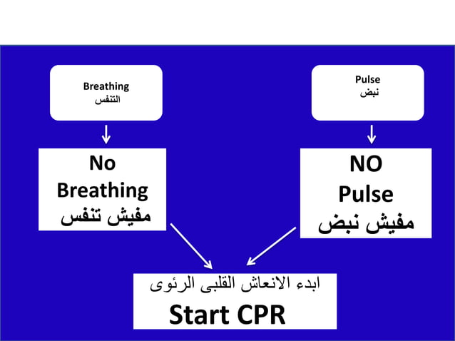 First aid by Arabic | PPTX