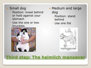 First aid.ppt