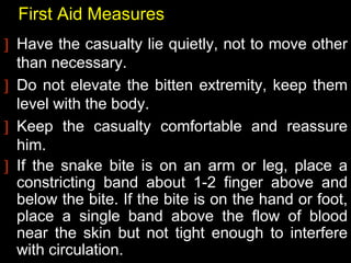 Definition and Importance of the First Aid | PPT