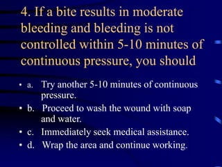 First aid... First aid....First aid....First aid....First aid.... | PPT