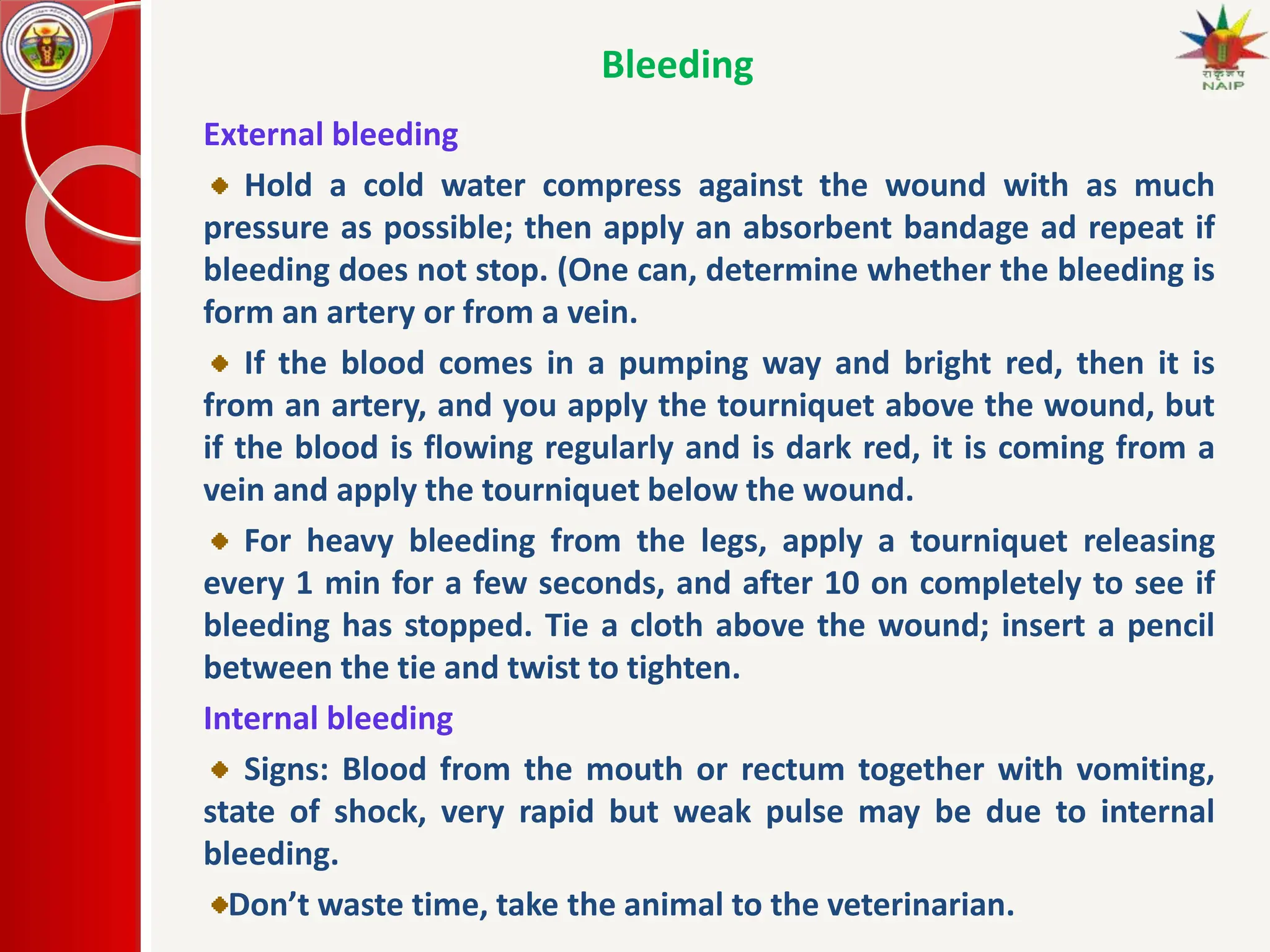 first aid in livestock a presentation .ppt