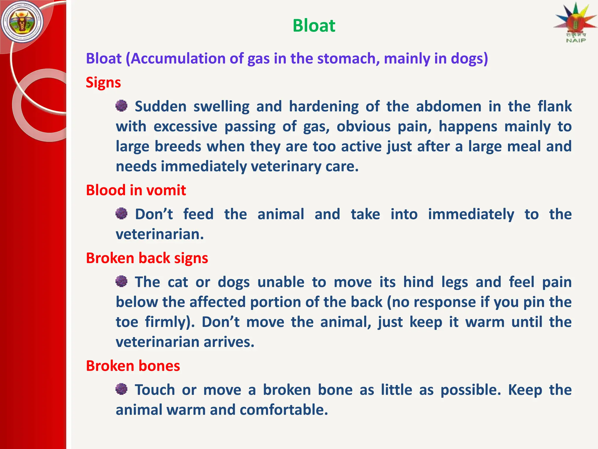 first aid in livestock a presentation .ppt