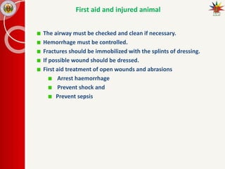 first aid in livestock a presentation .ppt