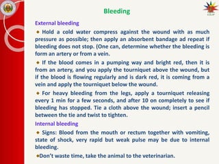 first aid in livestock a presentation .ppt