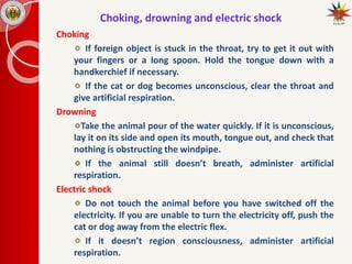 first aid in livestock a presentation .ppt