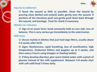 first aid in livestock a presentation .ppt