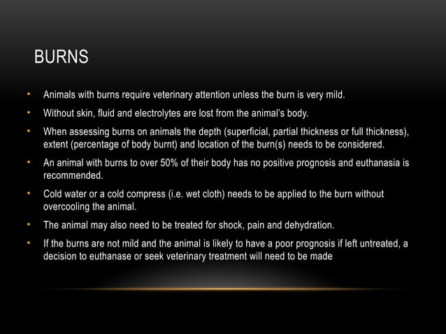 first aid for animals livestock animals .pptx