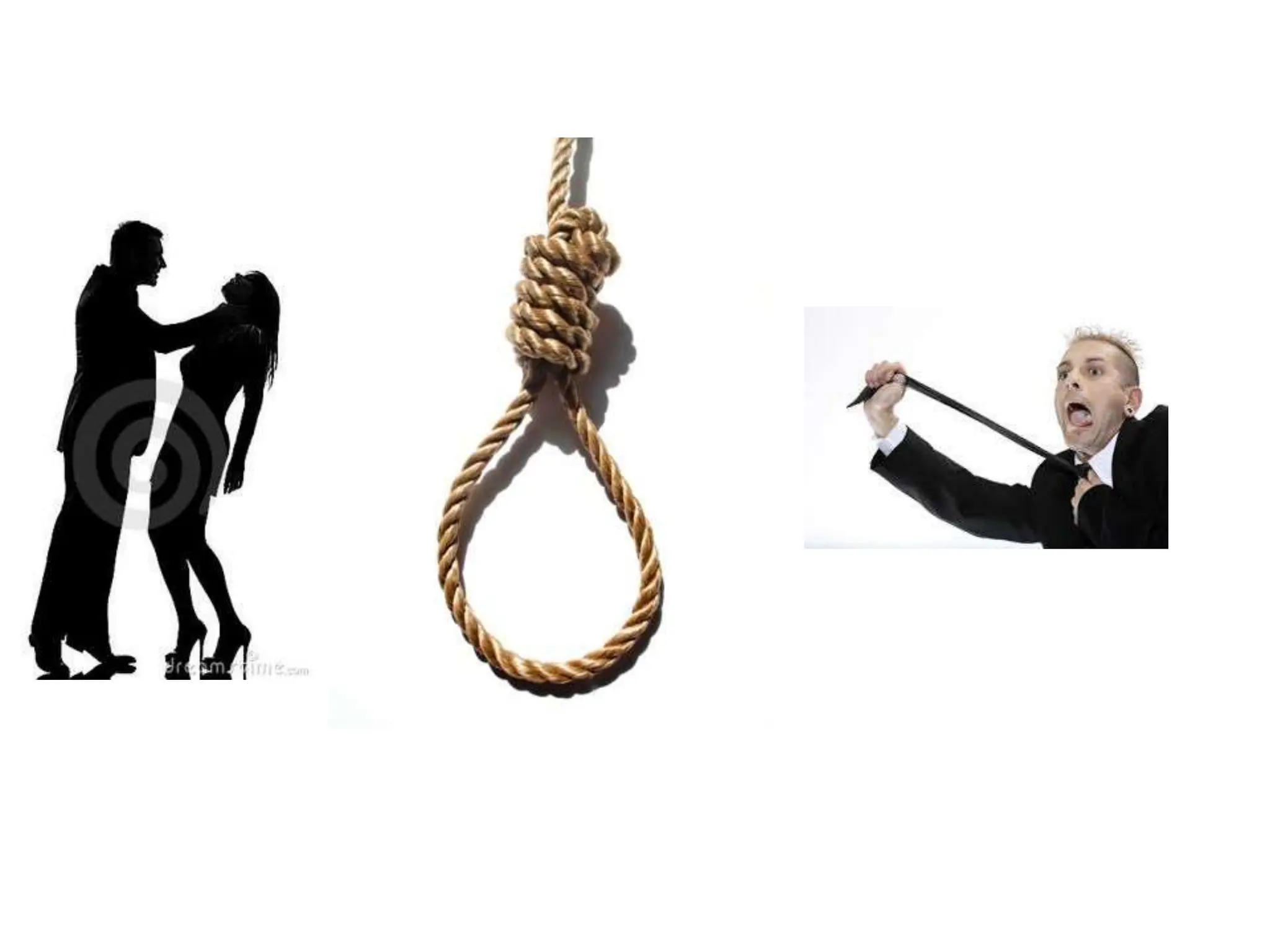 First Aid- Risk Management as Applied to Safety Security and Sanitation ...