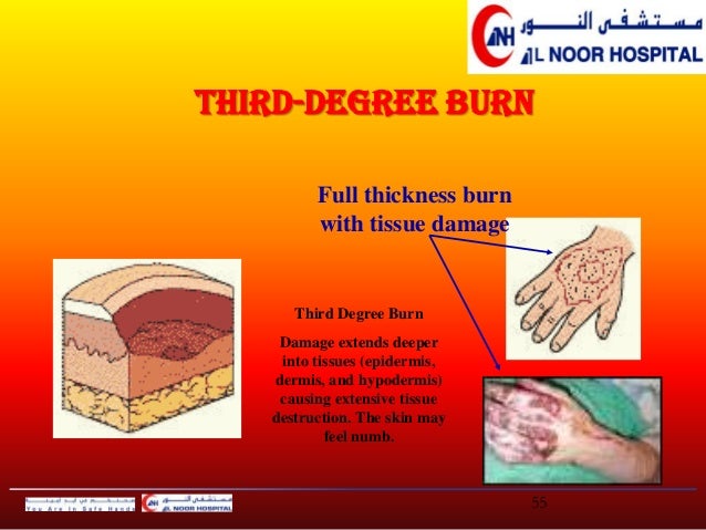 First aid and bls easy