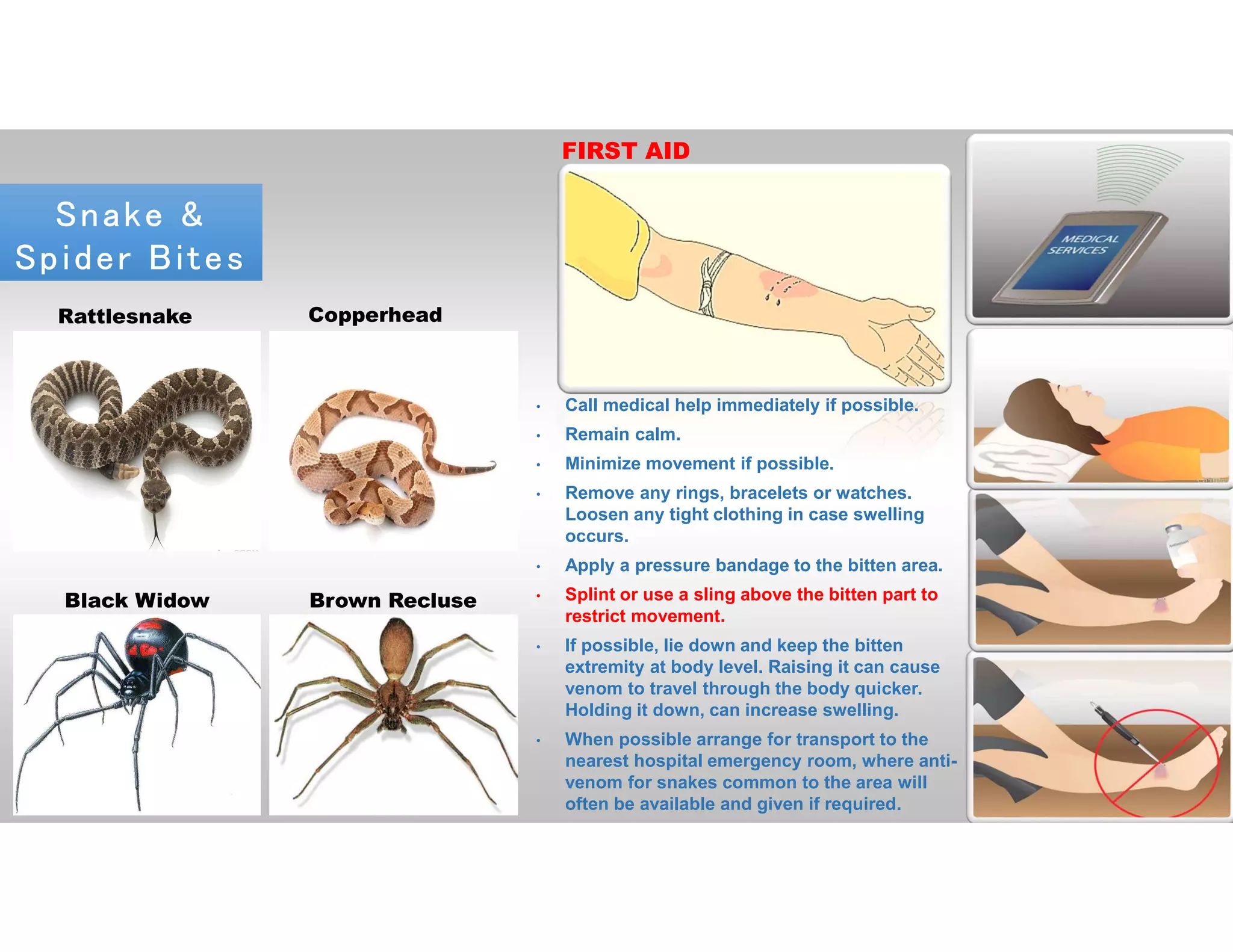 First Aid and Medical Services | PDF