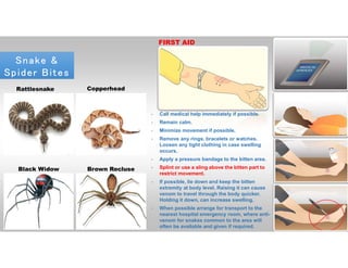 First Aid and Medical Services | PPT