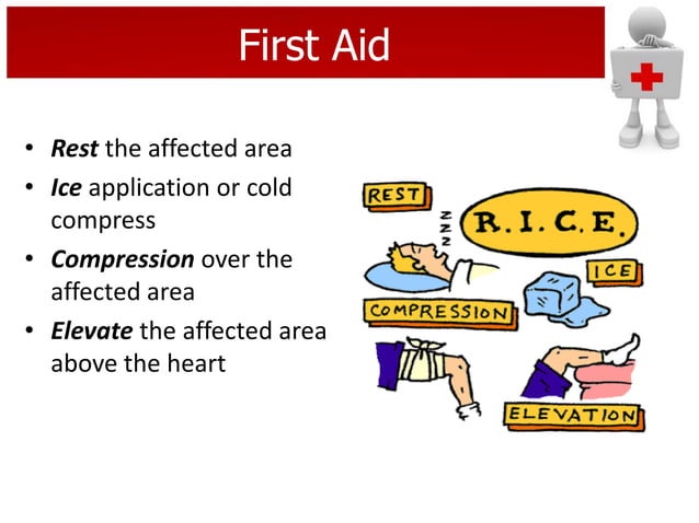 First aid & bandaging | PDF