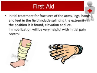 First aid & bandaging | PDF