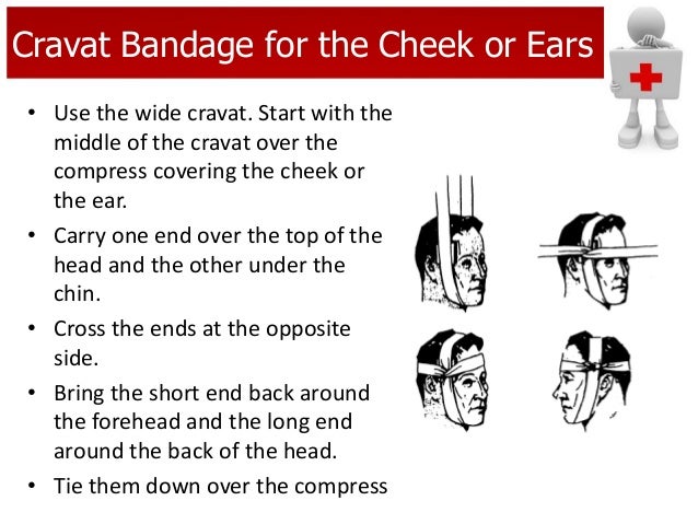 First aid & bandaging