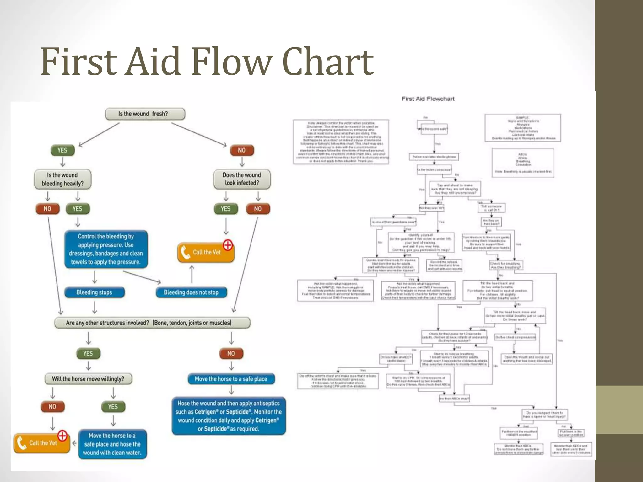 firstaidbox-160302180802.pdf
