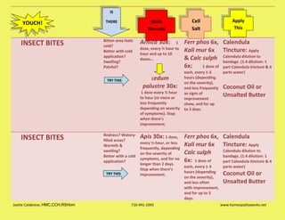 Homeopathic First Aid Chart | PDF