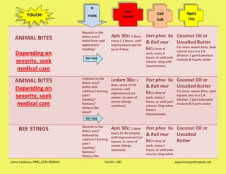 Homeopathic First Aid Chart | PDF