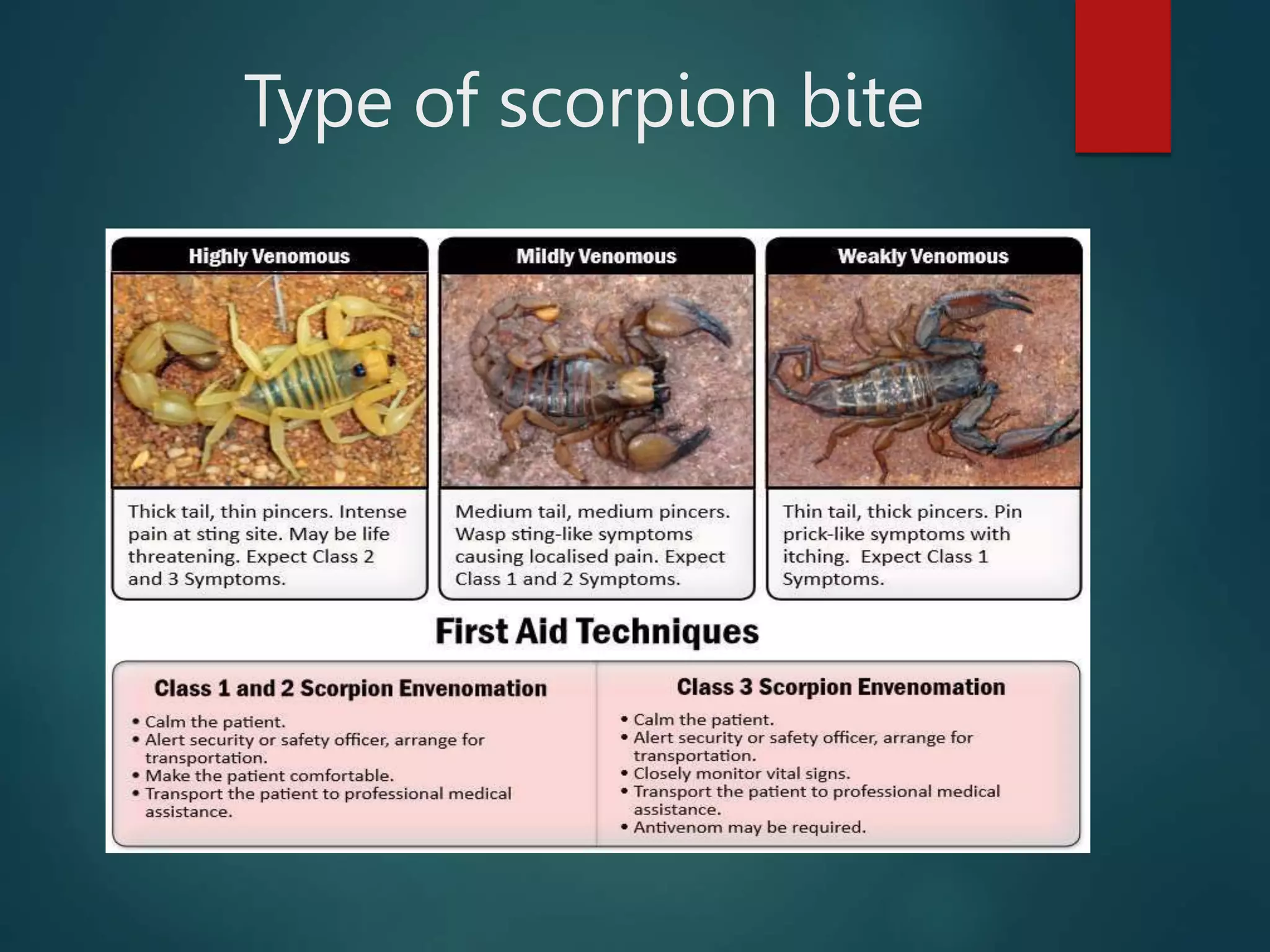 FIRST AID EMERGENCY IN DIFFERENT BITES AND STINGS.pptx